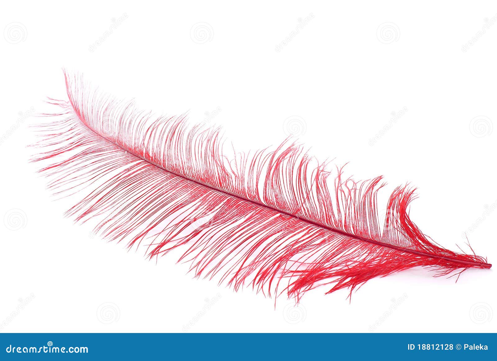 Red plume stock photo. Image of light, rich, decoration - 18812128