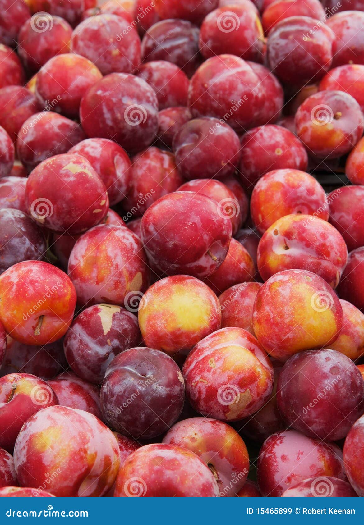 Red Plums stock image. Image of eating, clean, healthy - 15465899