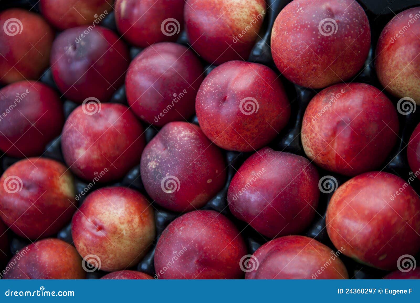 Red Plums stock image. Image of healthy, delicious, nature - 24360297