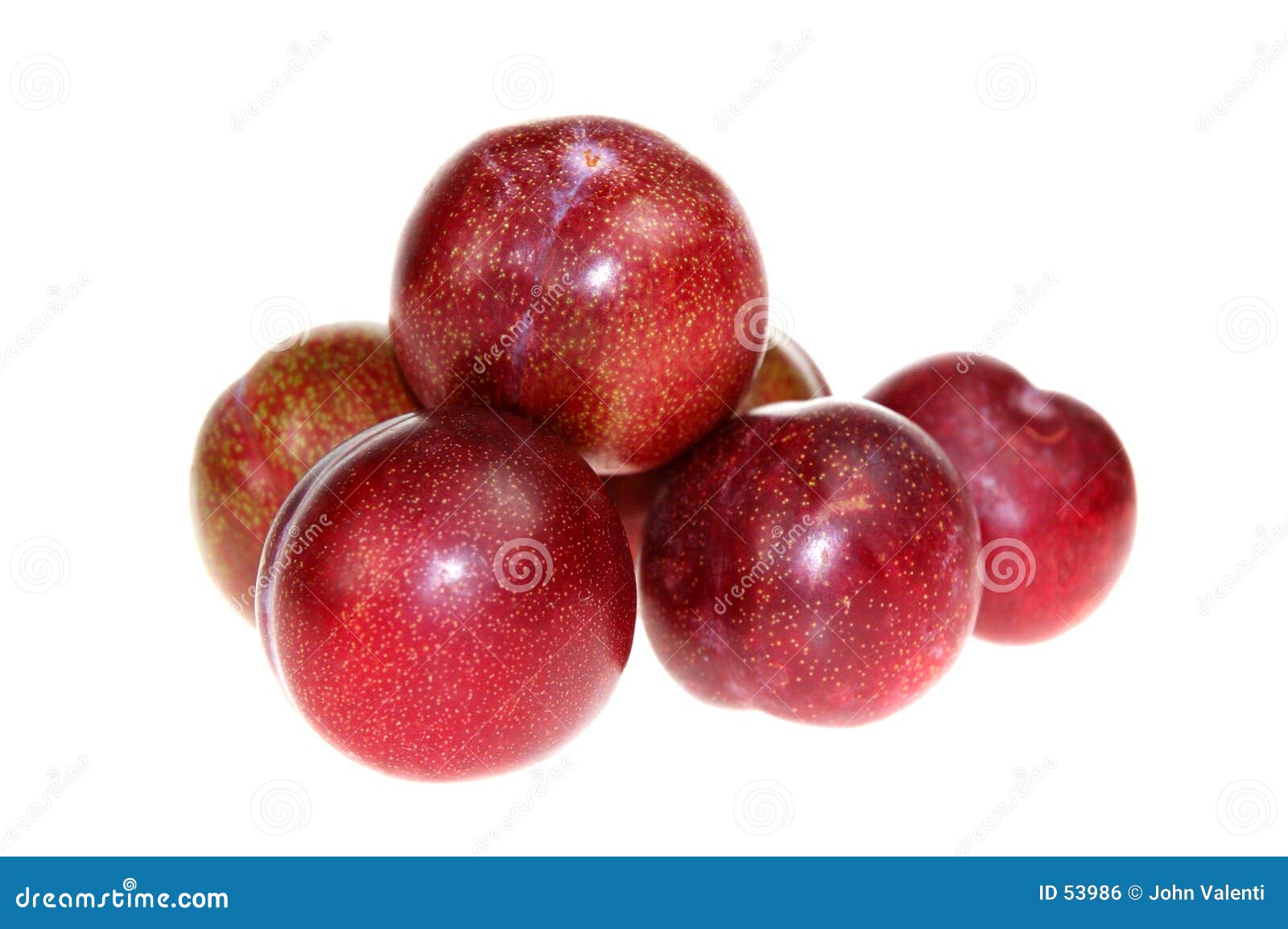 Red plums stock photo. Image of purple, food, recipe, juicy - 53986