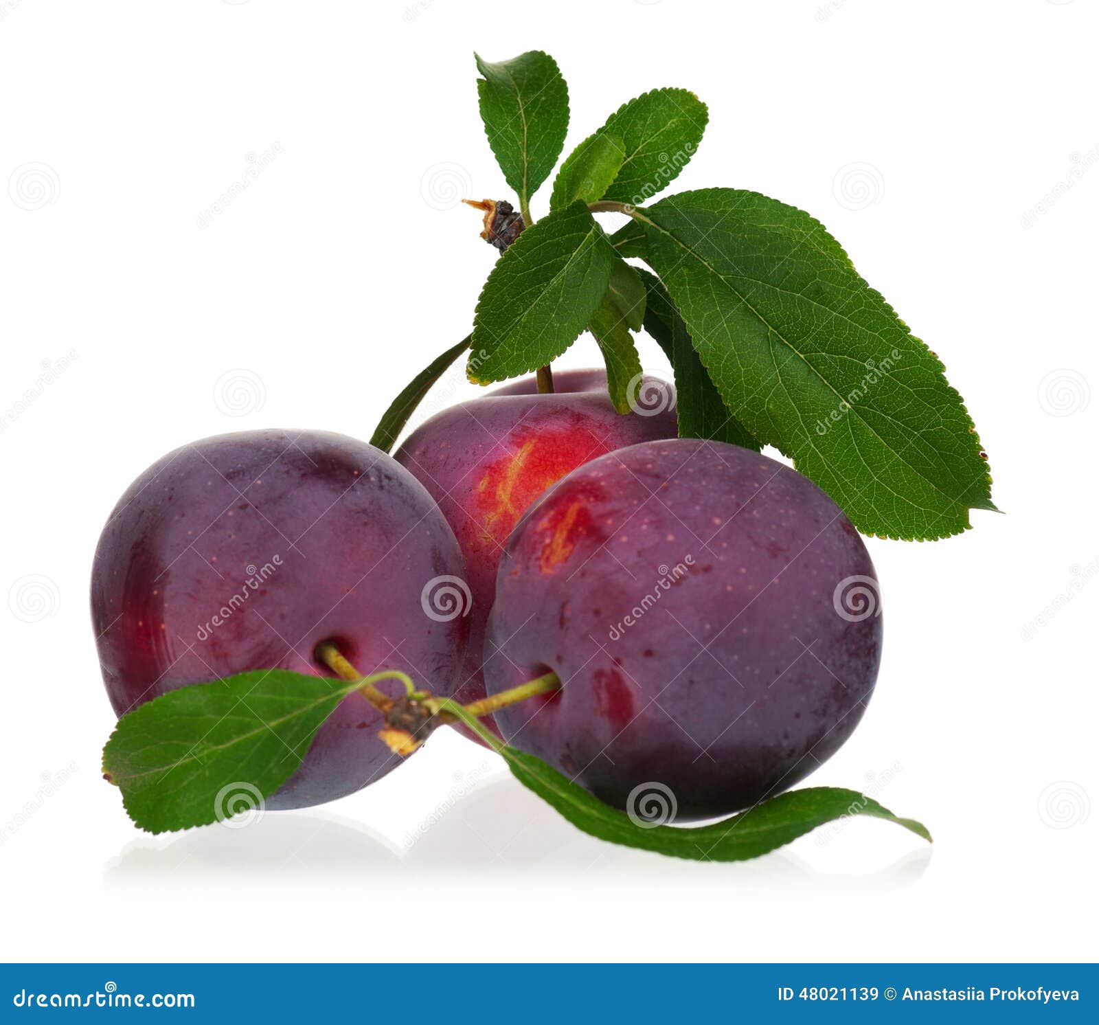 Red plums stock image. Image of organic, nutritious, intact - 48021139