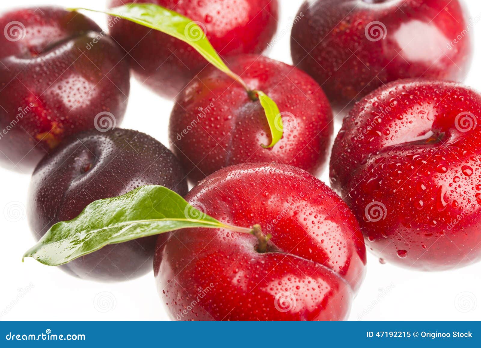 Red Plums Isolated on White Stock Image - Image of objects, glossy ...