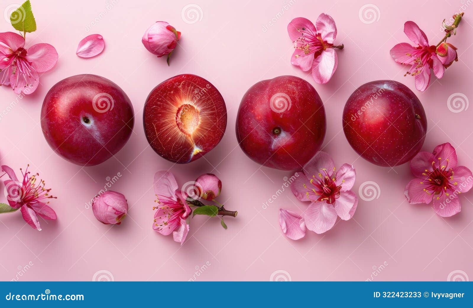 Red Plums with Plum Flowers on a Pastel Pink Background Stock Image ...