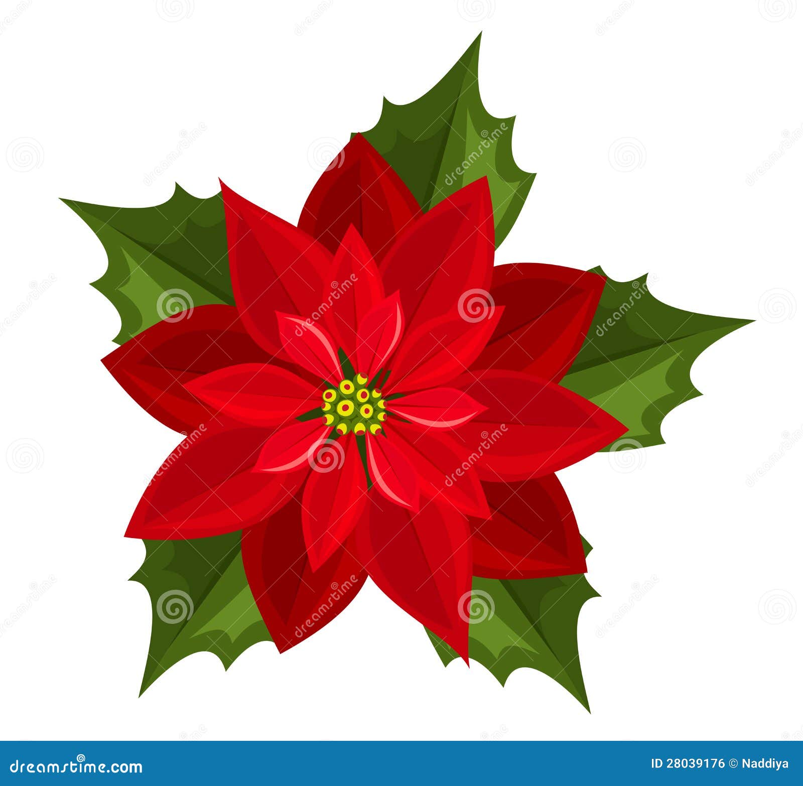 Red Poinsettia. Vector Illustration. Stock Vector - Illustration of ...