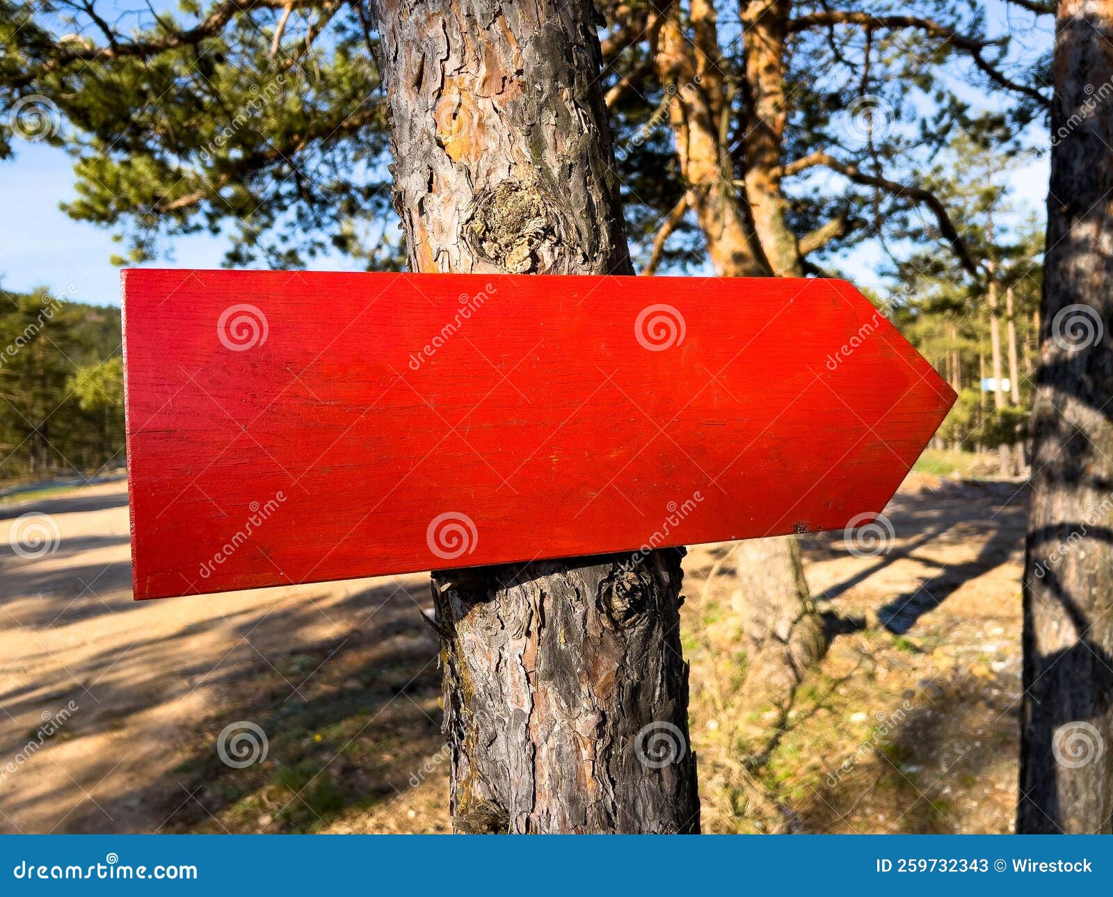 Red Pointer Arrow on a Tree Stock Image - Image of pointer, direction ...