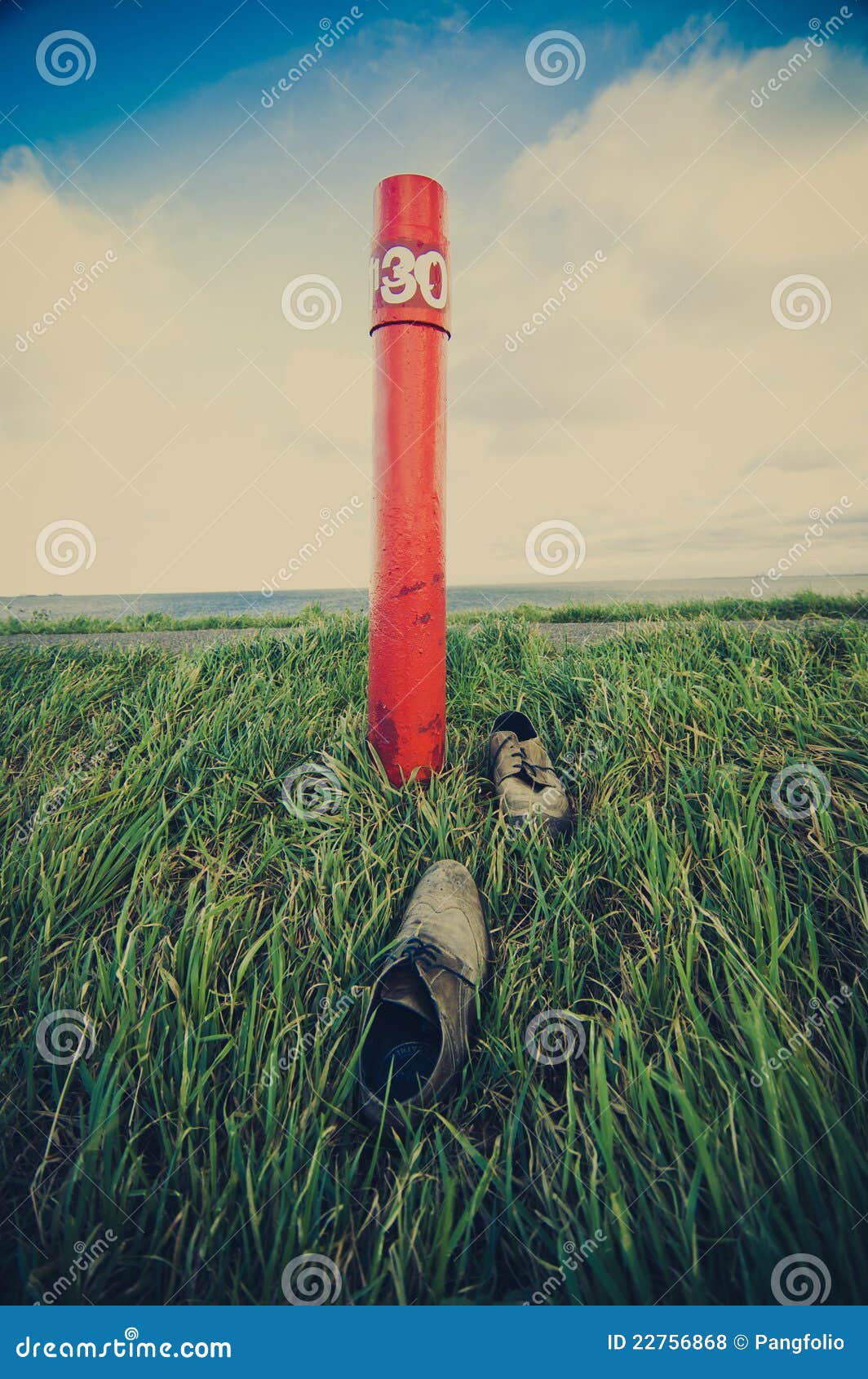 Red pole stock photo. Image of european, abstract, plant - 22756868
