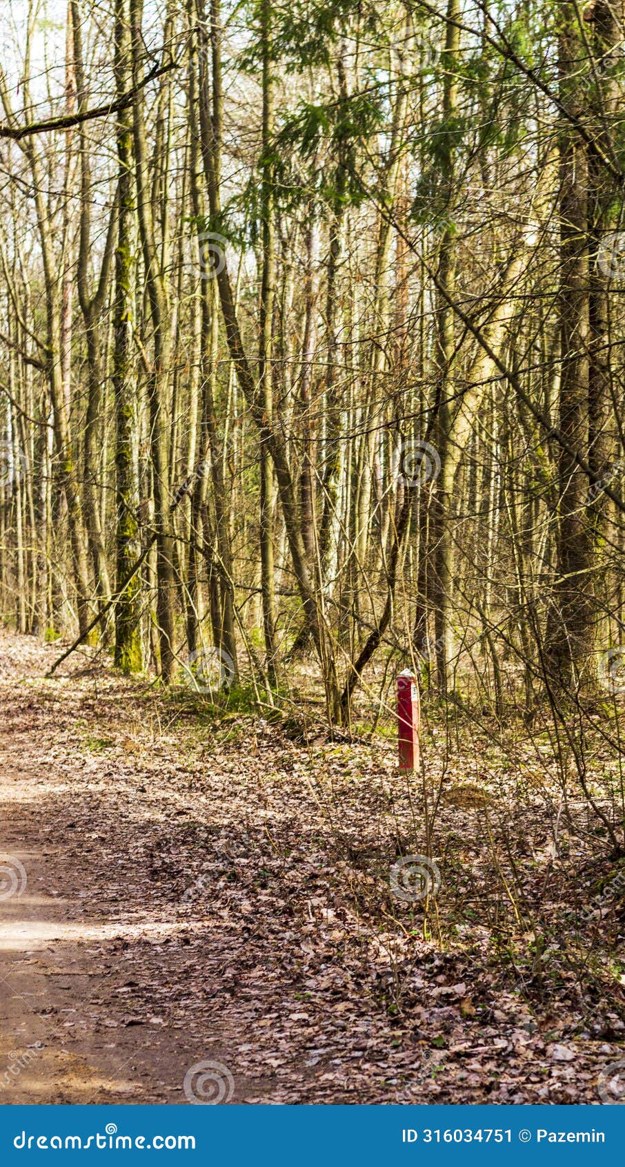 Red Pole in the Forest Marking Borders of the Territory. Concept Stock ...