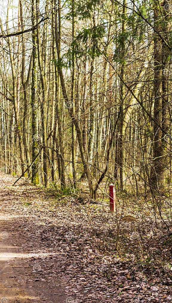 Red Pole in the Forest Marking Borders of the Territory. Concept Stock ...