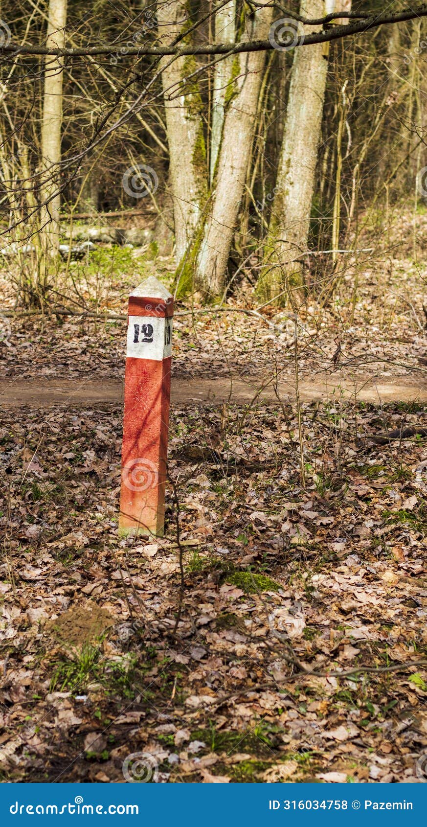 Red Pole in the Forest Marking Borders of the Territory. Concept Stock ...