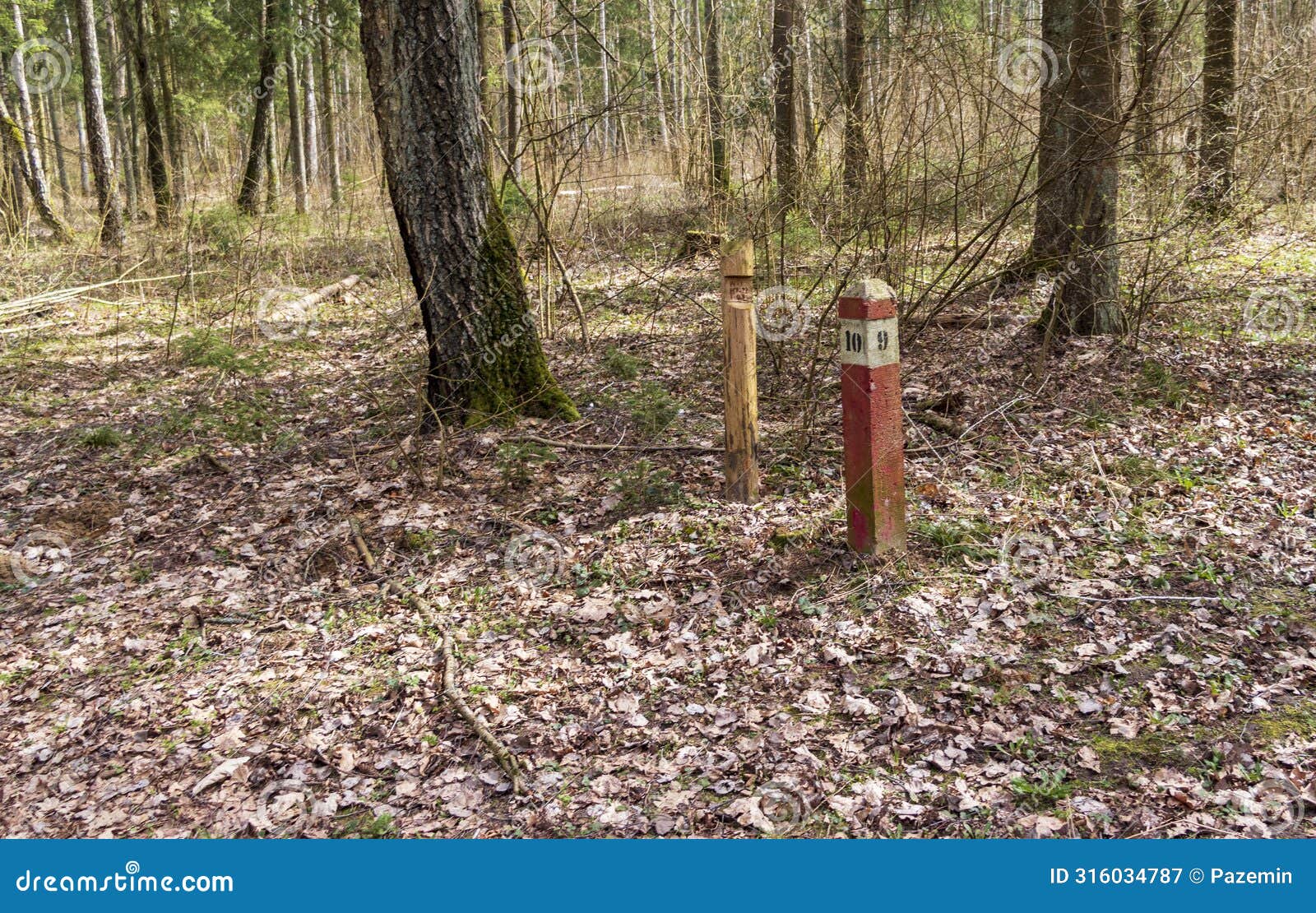Red Pole in the Forest Marking Borders of the Territory. Concept Stock ...