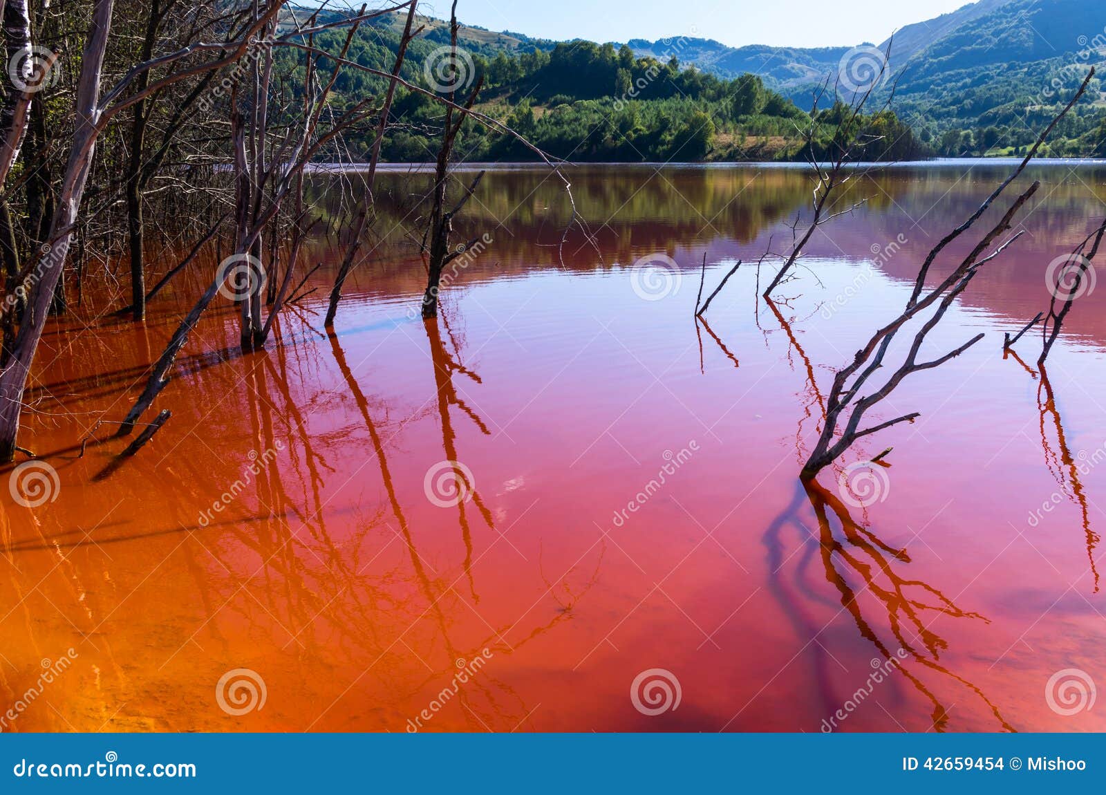 Red polluted lake stock photo. Image of contaminate, dead - 42659454
