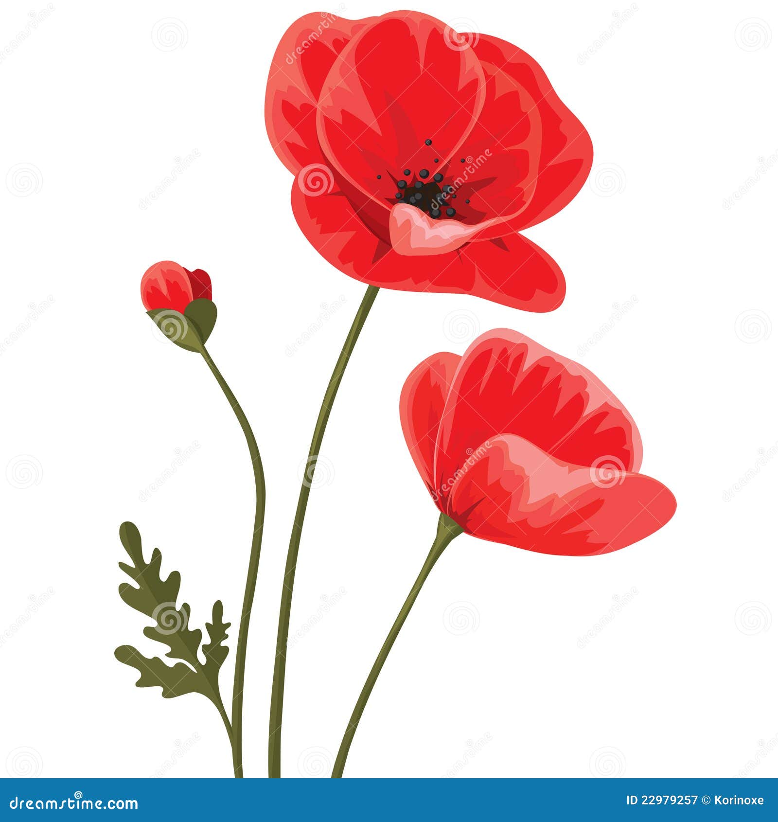 Red poppies stock vector. Illustration of floral, plants - 22979257