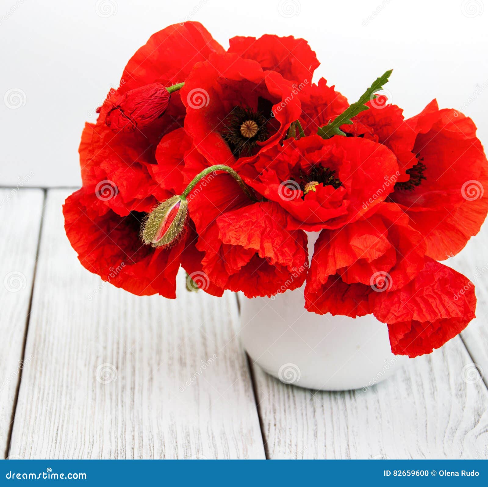 Red poppies in a vase stock photo. Image of nature, plant - 82659600