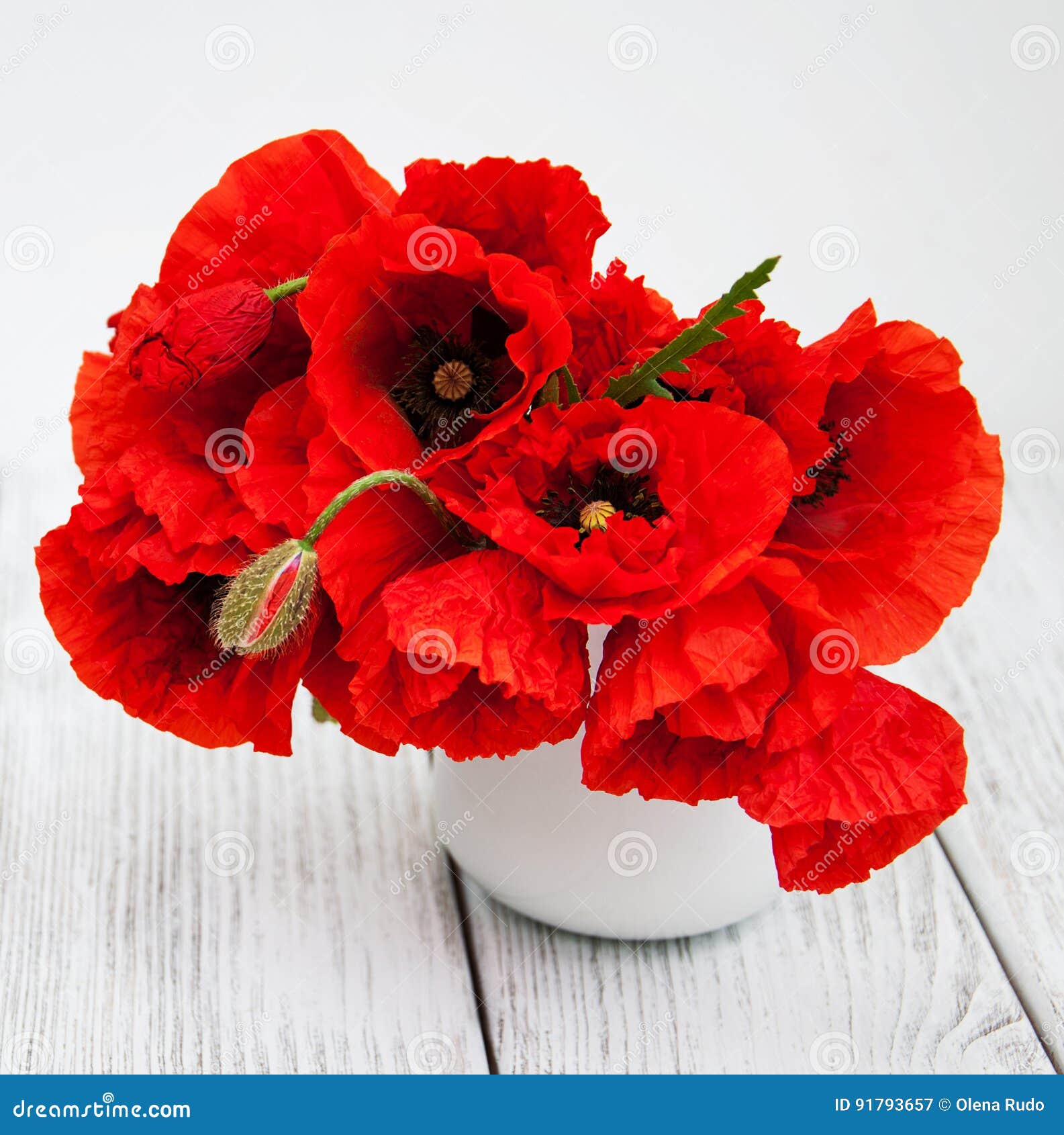 Red poppies in a vase stock image. Image of arrangement - 91793657