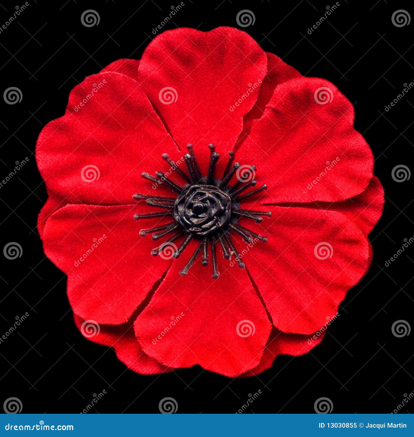 Red poppy stock image. Image of poppy, bright, forget - 13030855