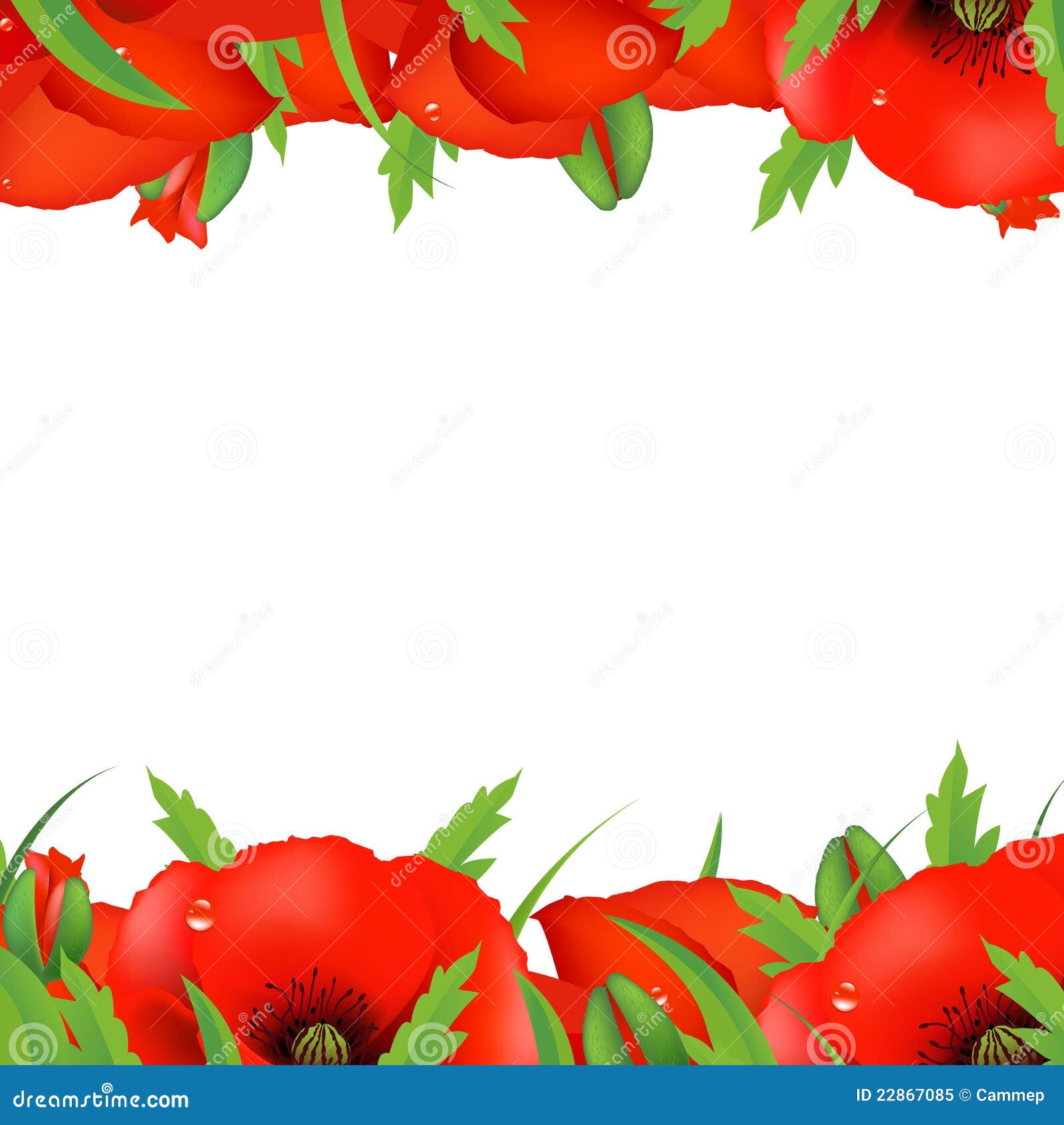 Red Poppy Border stock vector. Illustration of design - 22867085