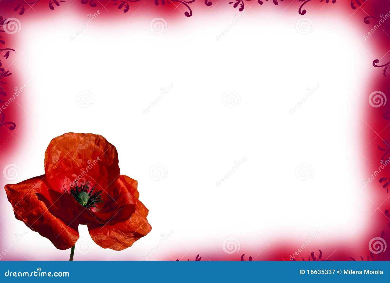 Red poppy card stock illustration. Illustration of greeting - 16635337