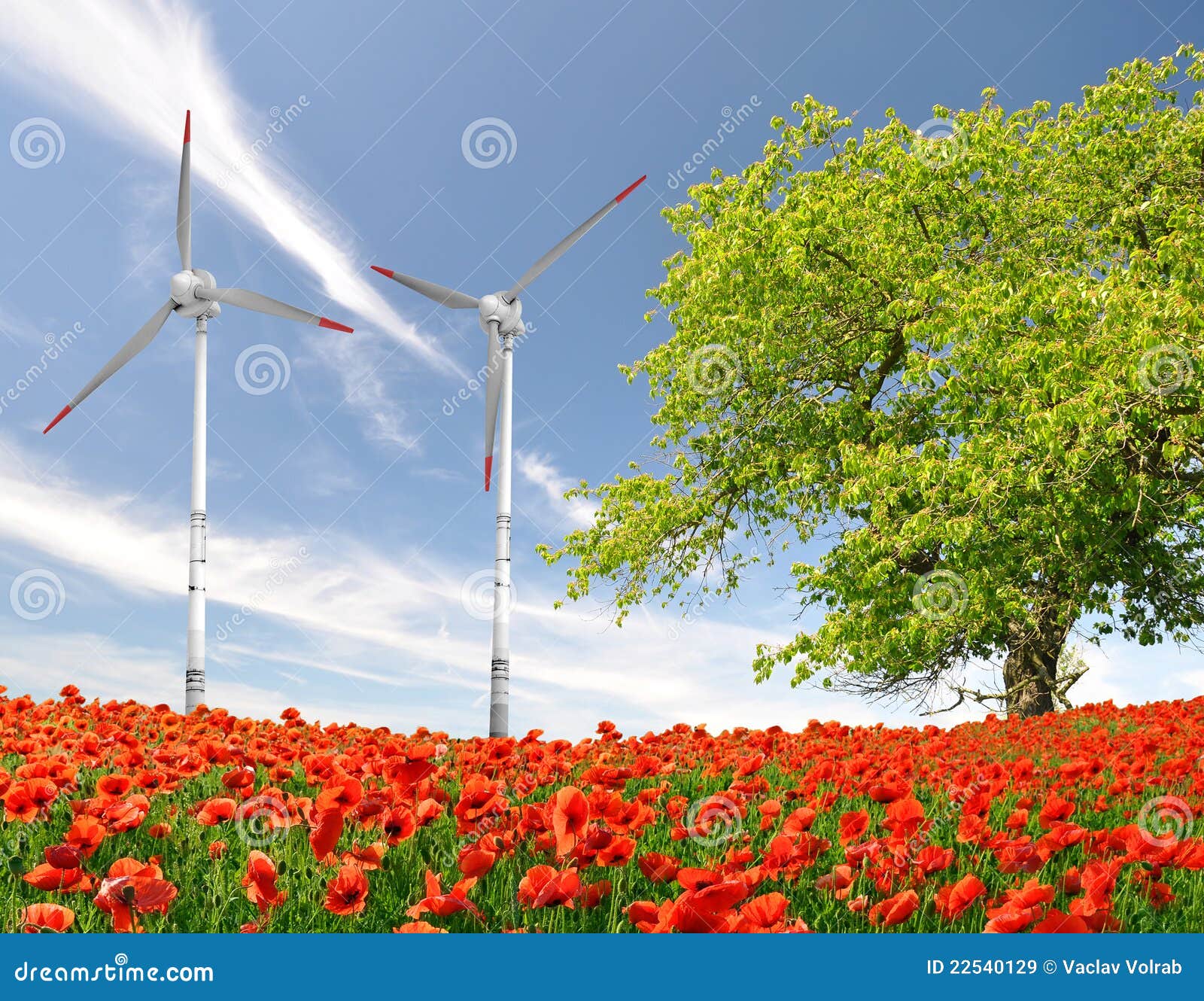 Red Poppy Field with Wind Turbine Stock Image - Image of scenics, poppy ...