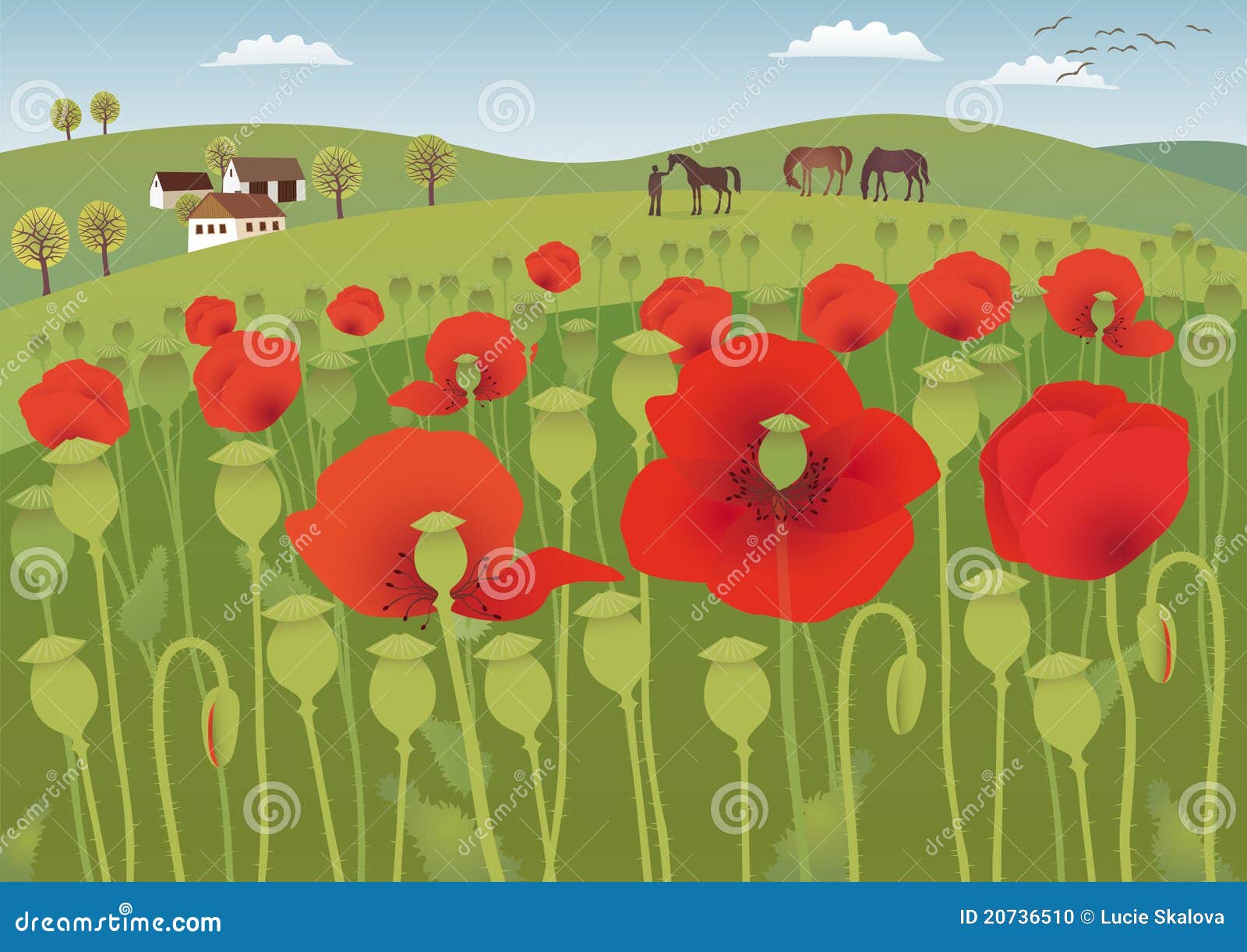 Red poppy fields stock vector. Illustration of pasture - 20736510
