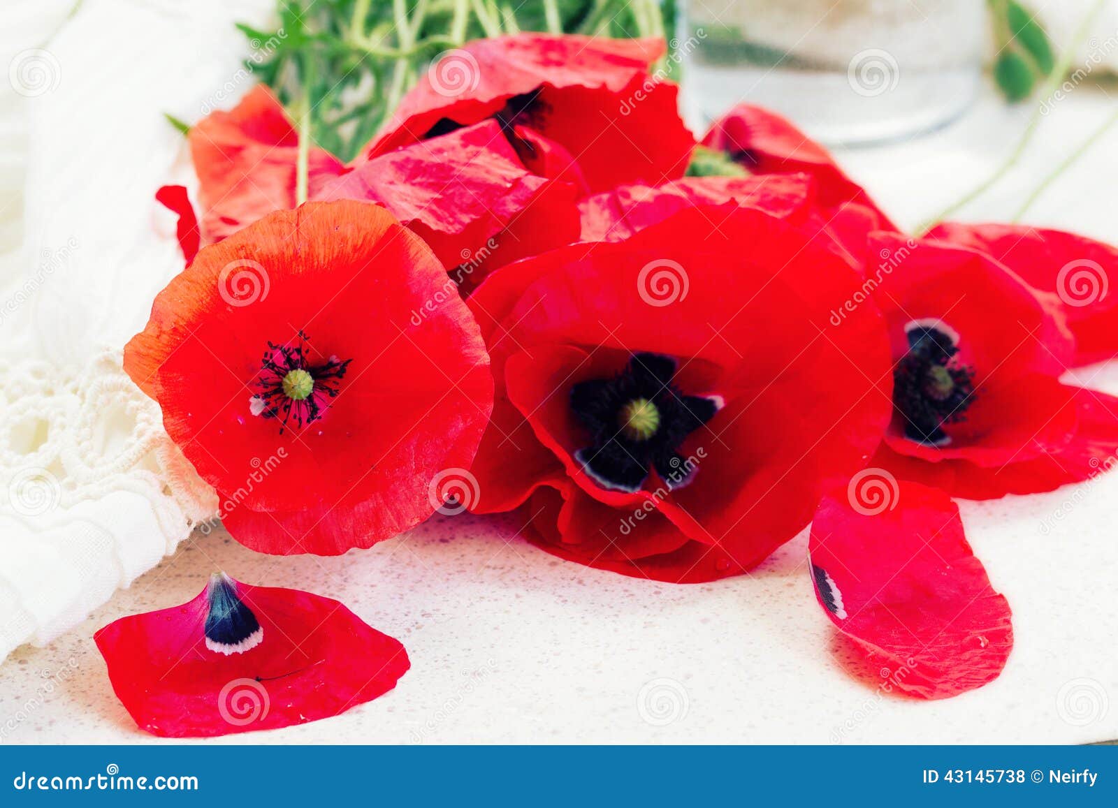 Red poppy flowers stock photo. Image of summer, poppies - 43145738
