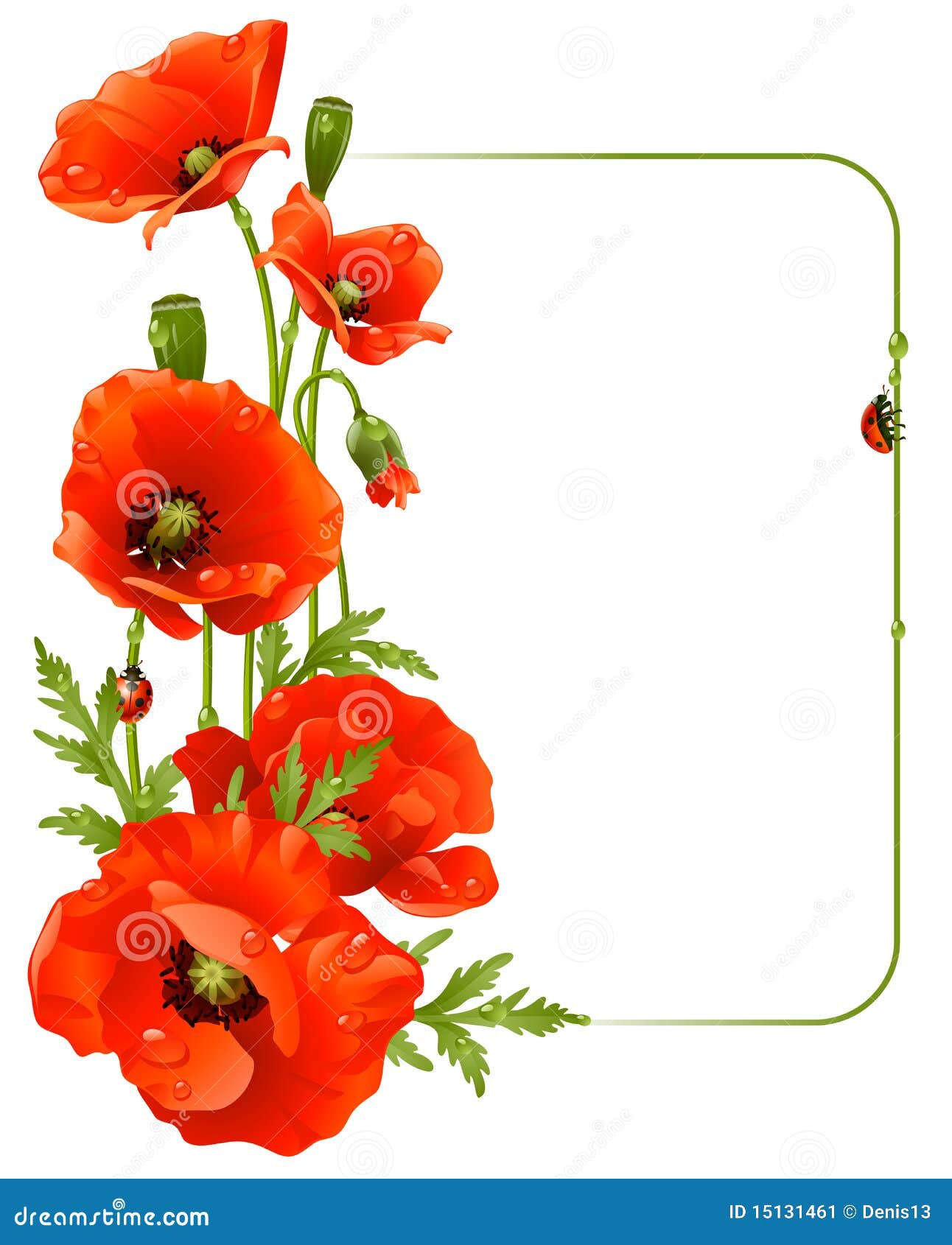 Red Poppy Frame Vector Illustration Isolated On White Background ...