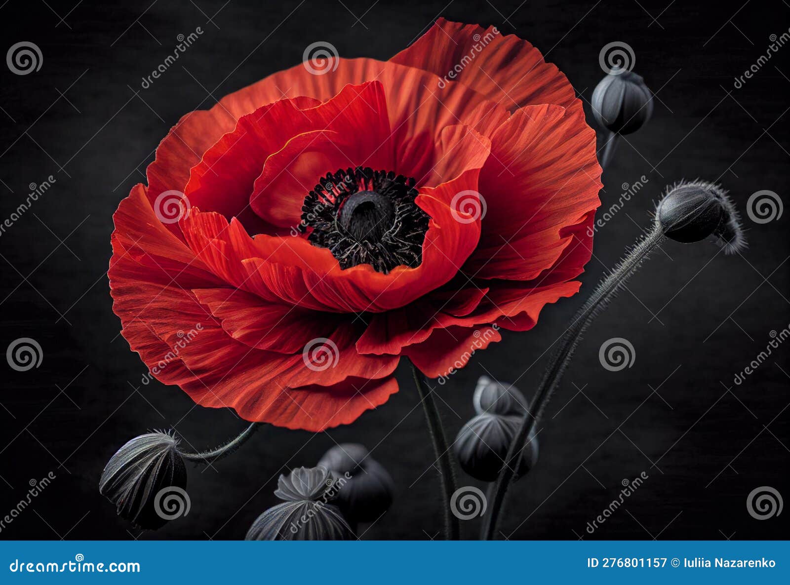 Red Poppy Symbol Of Victory On A Dark Background. AI Generated Royalty ...