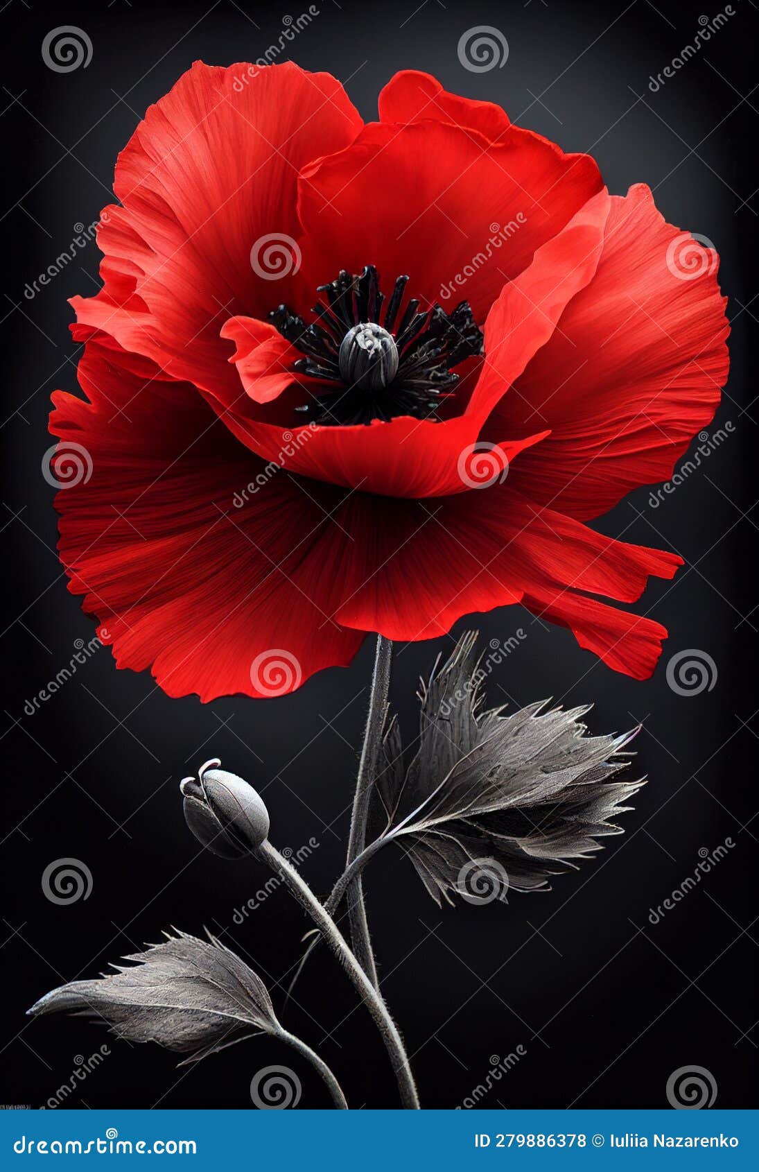 Red Poppy Symbol Of Victory On A Dark Background. AI Generated Stock ...
