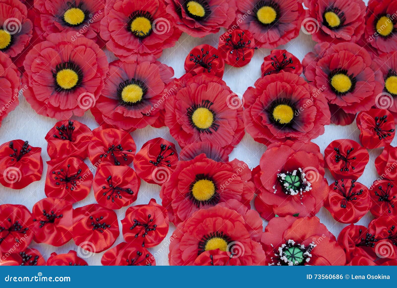 Red Poppy. Symbol of Victory Stock Photo - Image of veteran, ukraine ...
