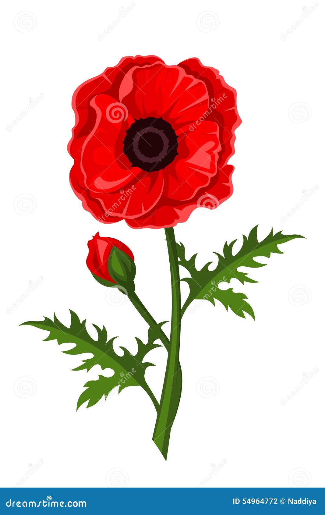 Red Poppy. Vector Illustration. Stock Vector - Illustration of floral ...