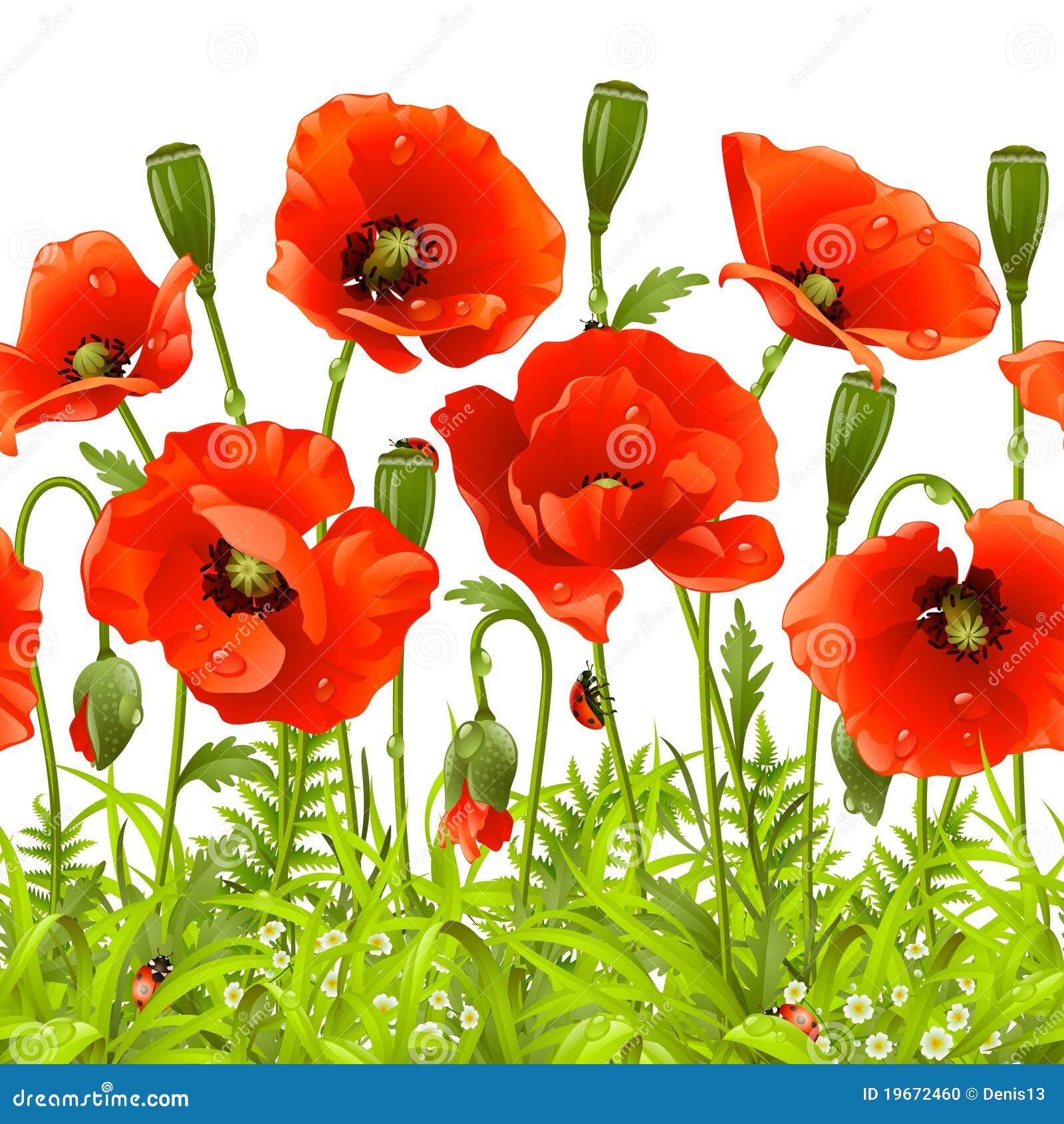 Red Poppy. Vector Seamless Horizontal Border Stock Vector ...