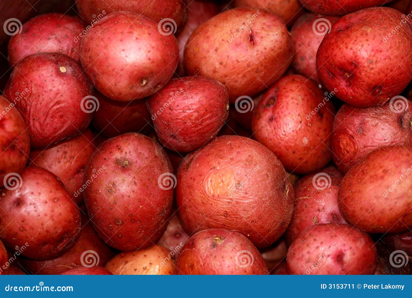 Red potatoes stock image. Image of tater, flora, macro - 3153711