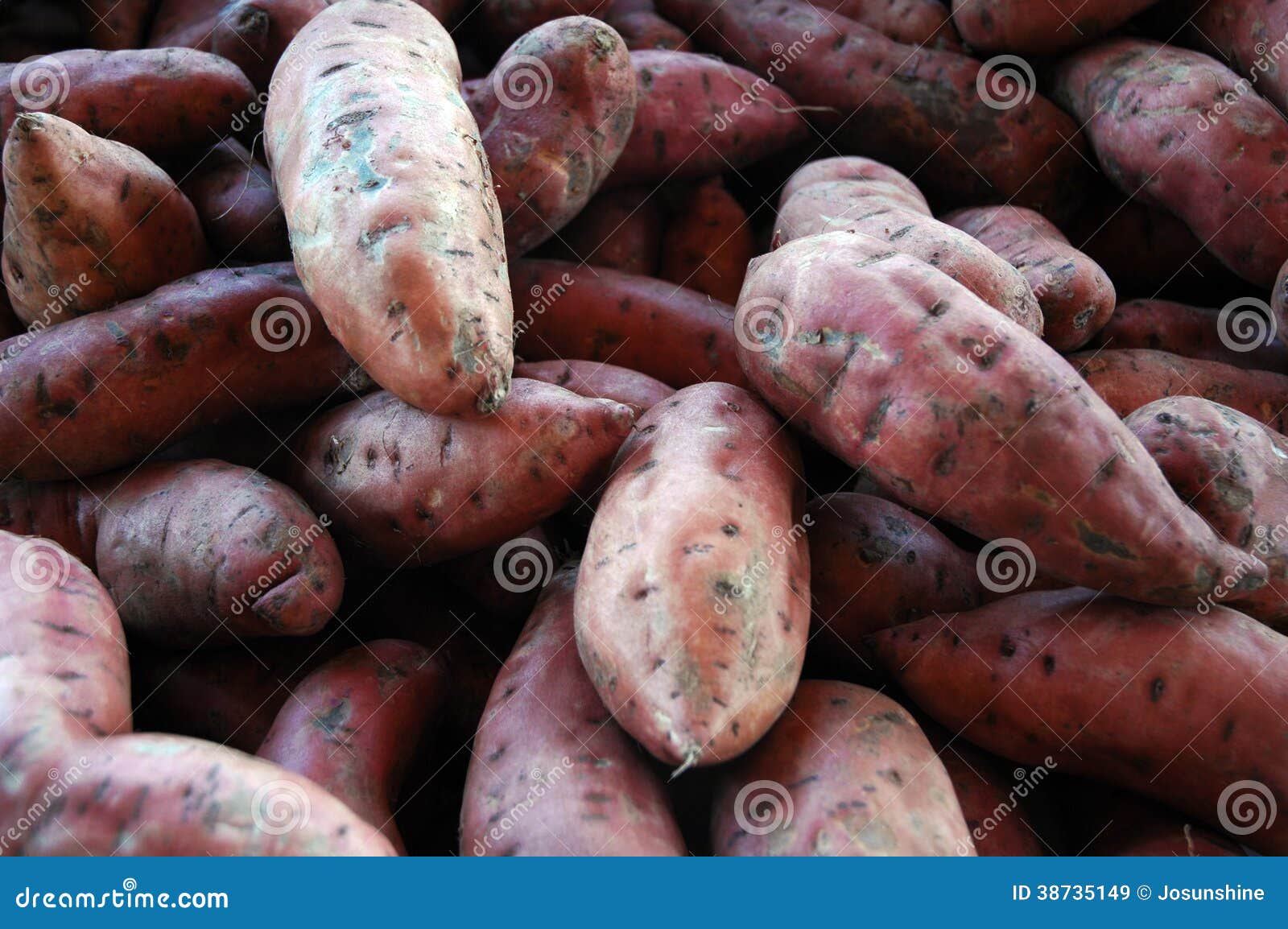 Red Potatoes stock image. Image of skin, bunch, abundance - 38735149