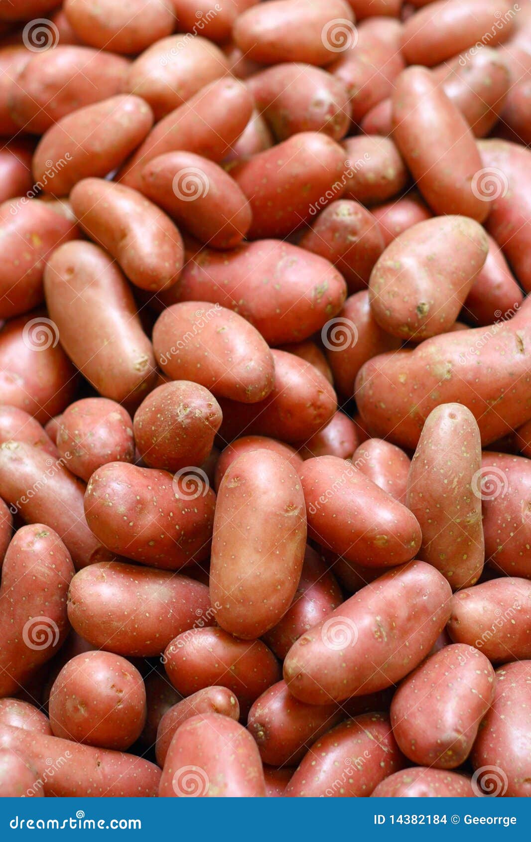 Red Potatoes in a Little Grocery Stock Photo - Image of food, natural ...