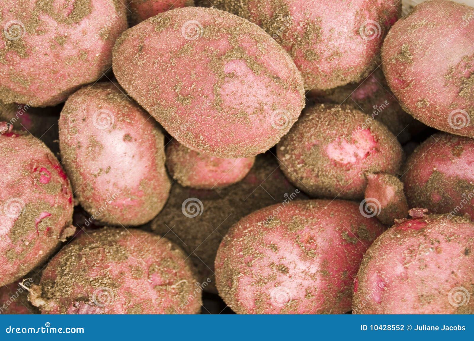 Red potatos stock photo. Image of vegetable, food, produce - 10428552