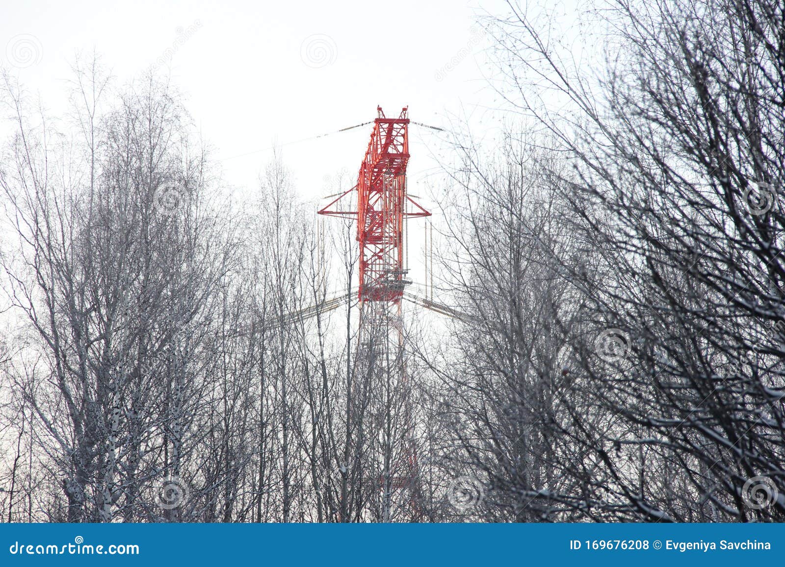 Red Power Line Support among Bare Winter Trees Stock Photo - Image of ...