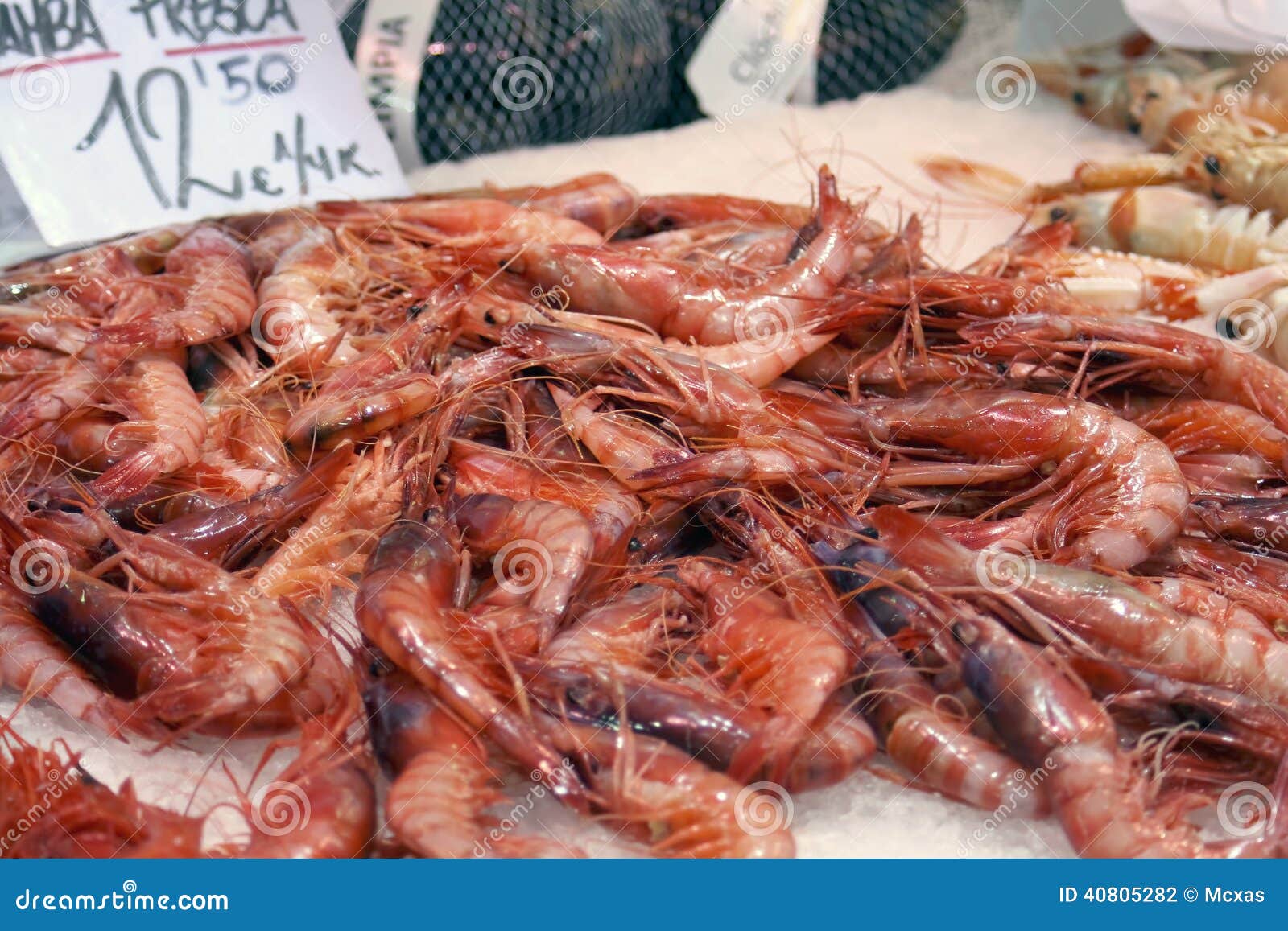 Mediterranean red prawn stock photo. Image of person - 40805282