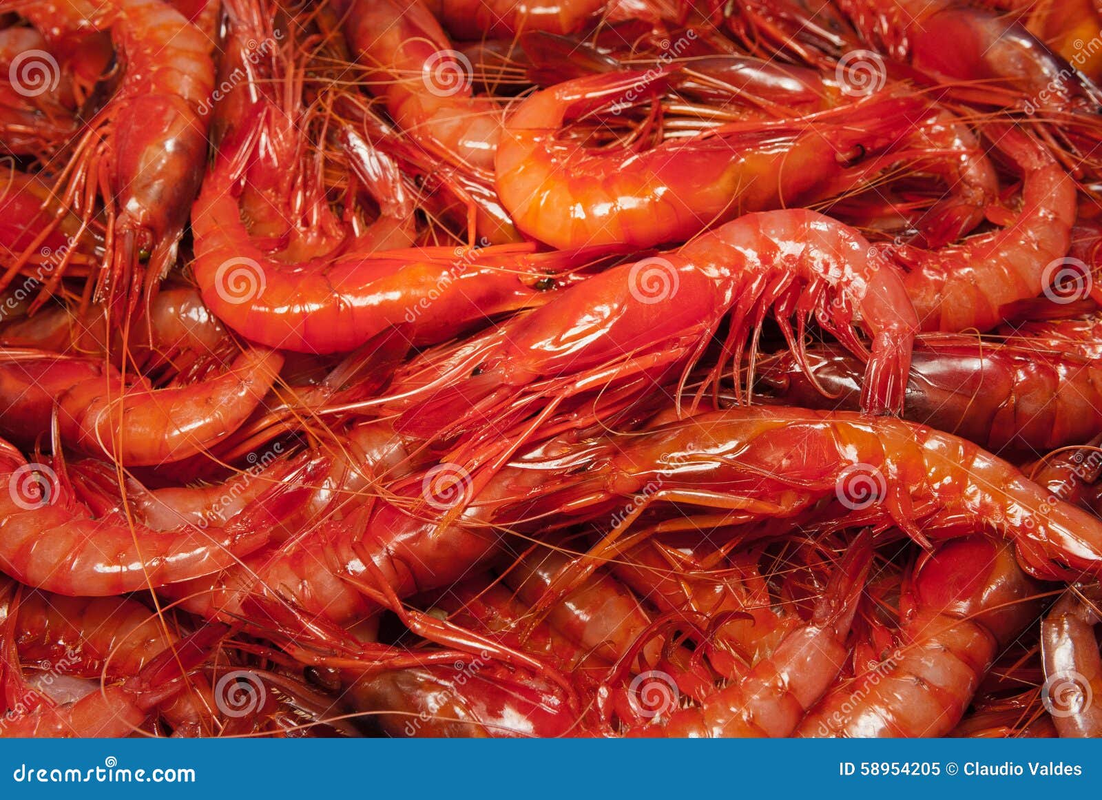 Red prawn stock image. Image of prawns, fish, seafood - 58954205