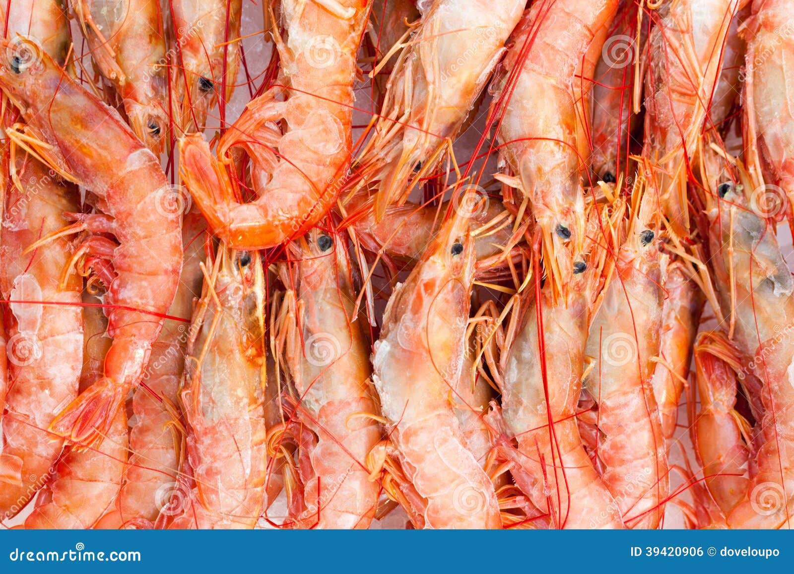 Red prawns market stock photo. Image of prawns, market - 39420906