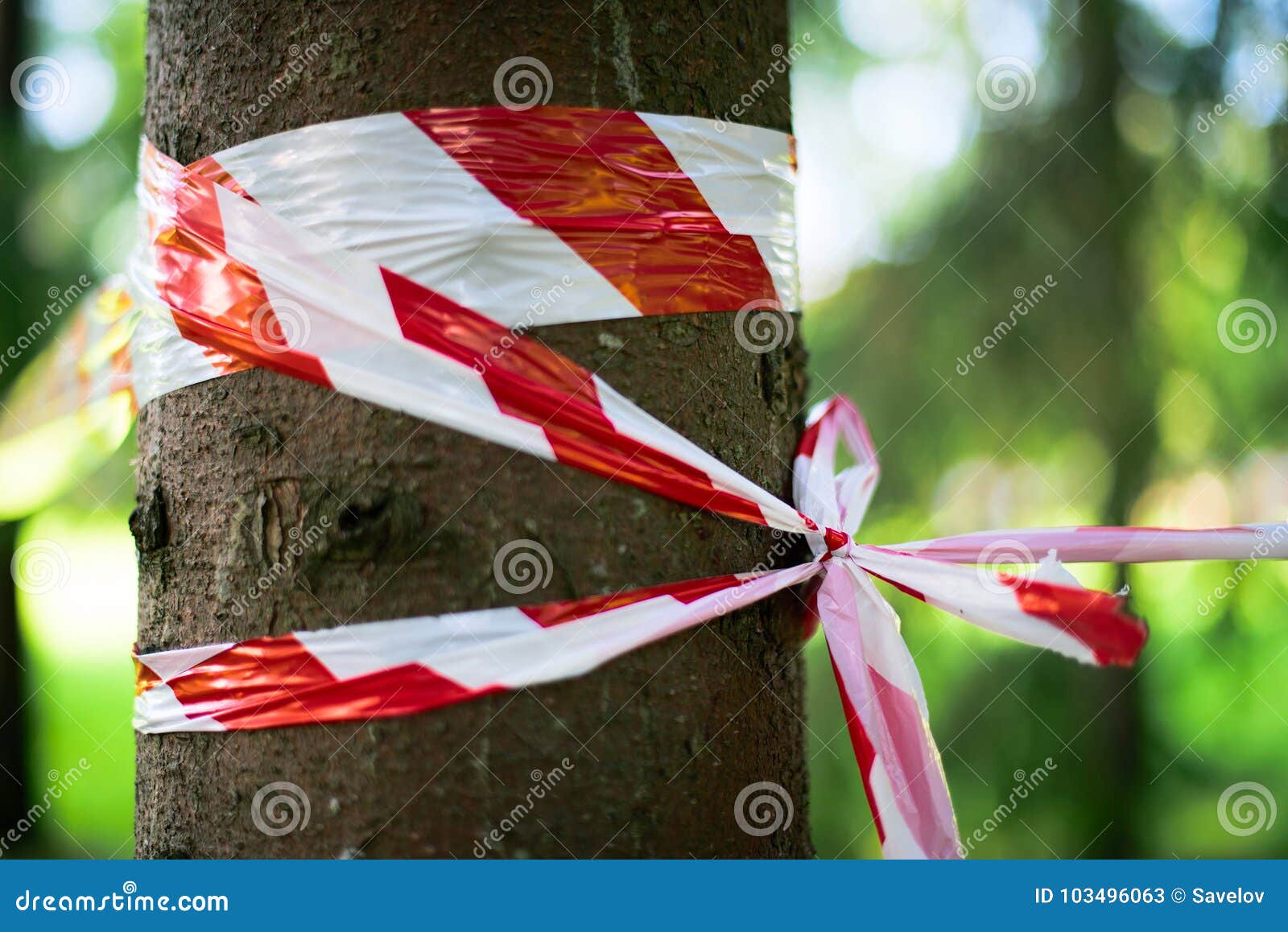 Red Protective Tape on the Tree Stock Image - Image of protection ...