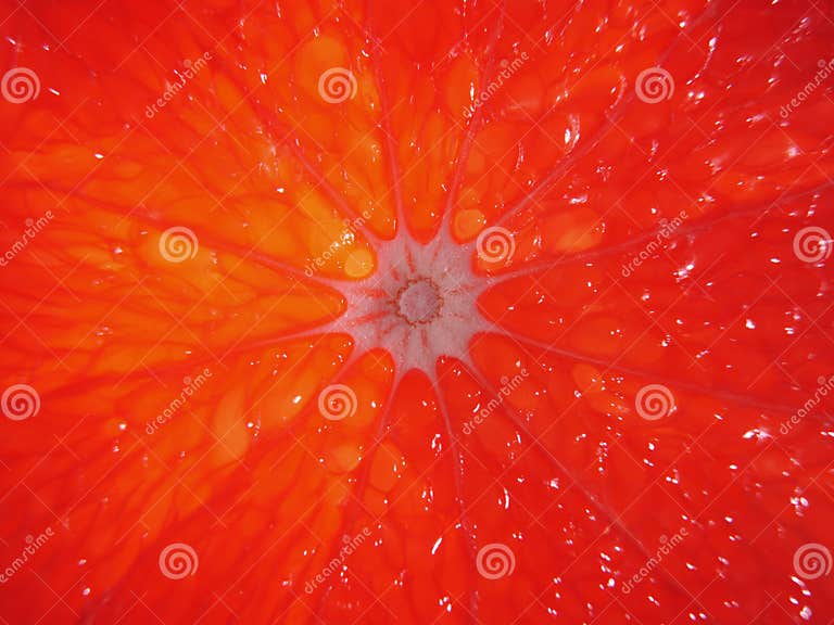 The Red Pulp of the Grapefruit is Close-up. Stock Photo - Image of ...