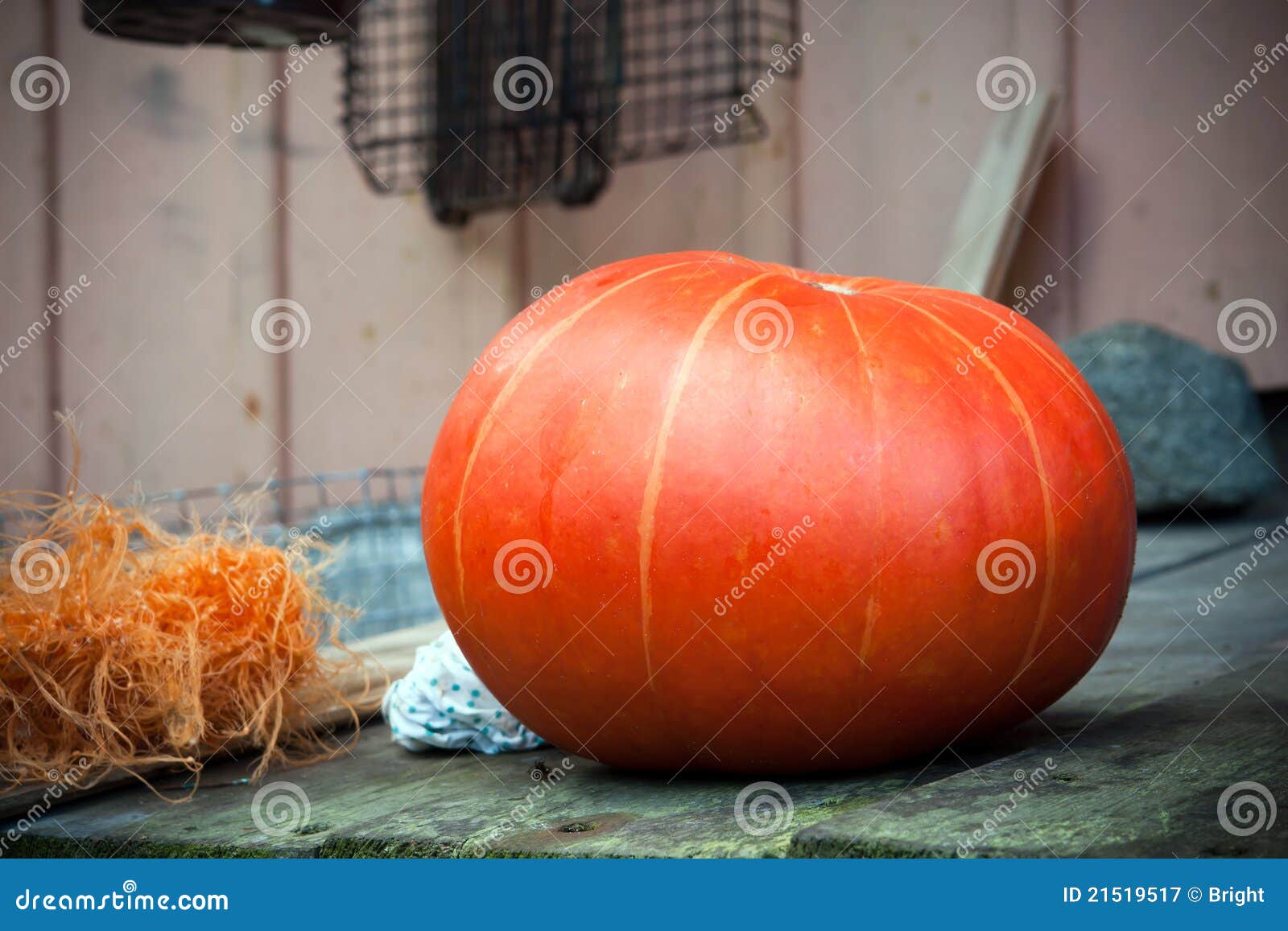 Red Pumpkin stock image. Image of vegetable, halloween - 21519517