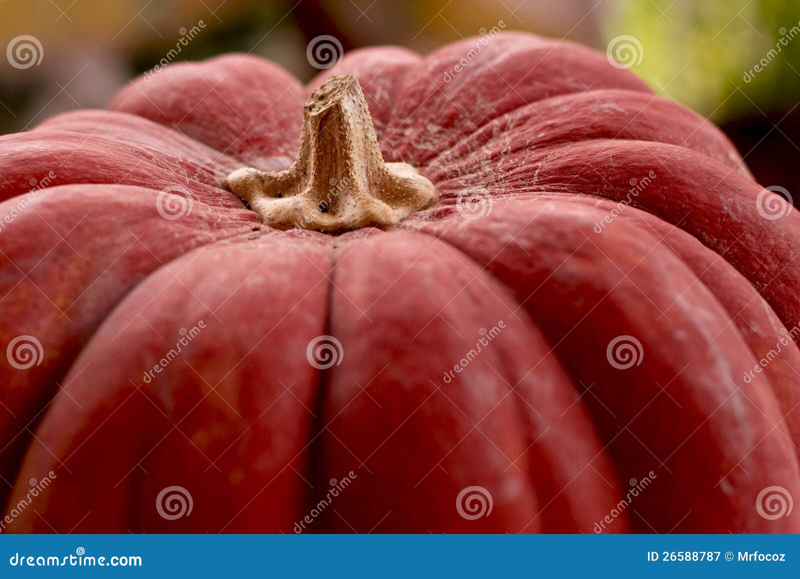 Red Pumpkin stock image. Image of gourd, vegetable, descriptive - 26588787