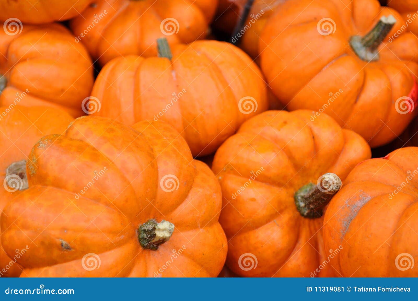 Red pumpkins stock image. Image of pumpkin, simbol, market - 11319081