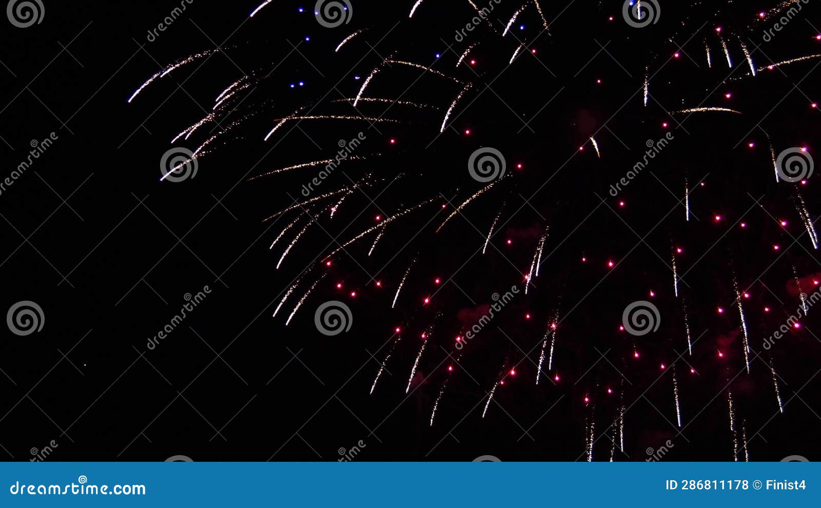 Red and Purple Firework Flowers on a Black Night Sky Stock Footage ...