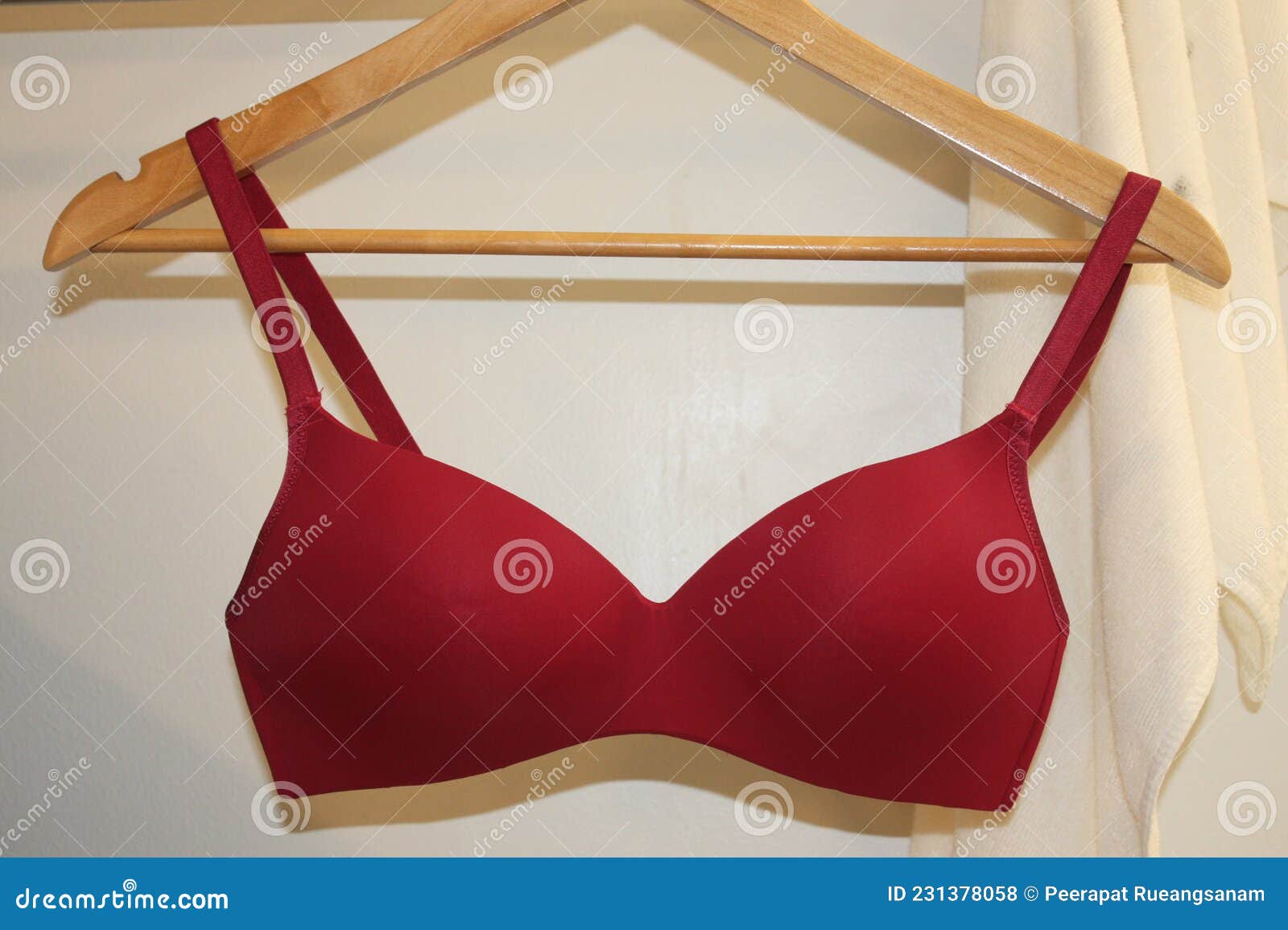 Red push up bra. stock photo. Image of nipples, floral - 231378058