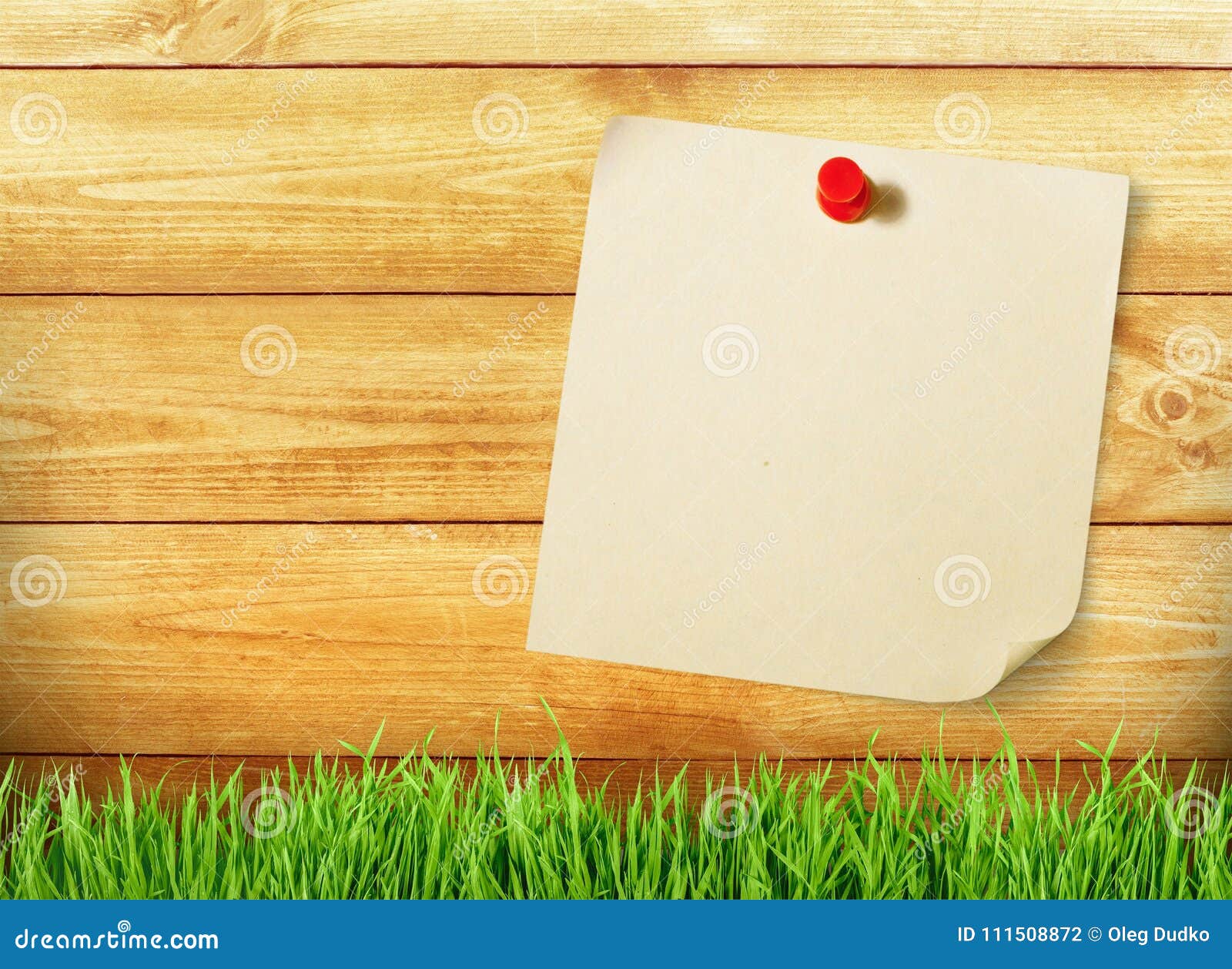 Red Pushpin with Paper, Close-up View Stock Photo - Image of attachment ...