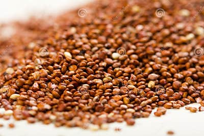 Red Quinoa stock image. Image of uncooked, texture, white - 13514423