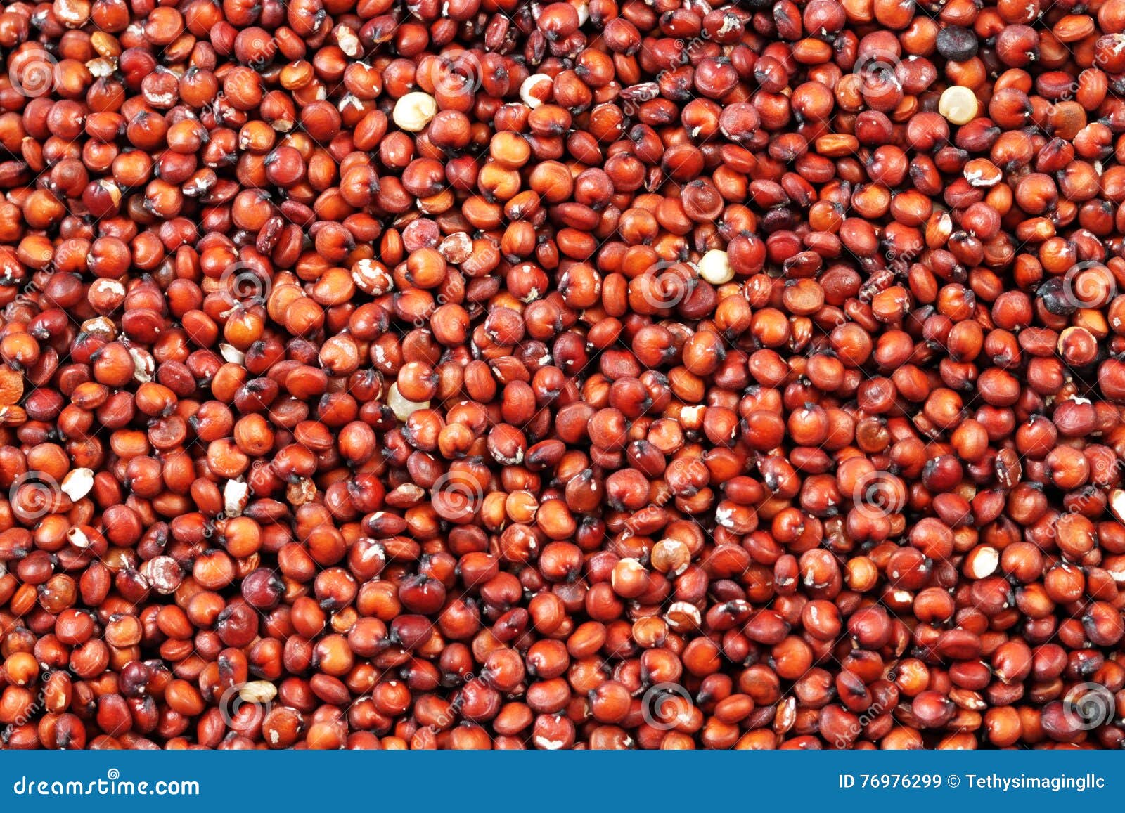 Red Quinoa Close Up stock image. Image of cereal, gluten - 76976299