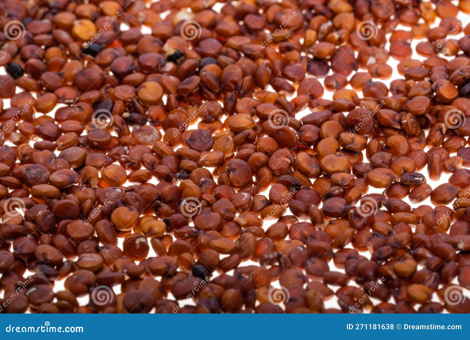 Red quinoa isolated stock photo. Image of organic, superfood - 271181638