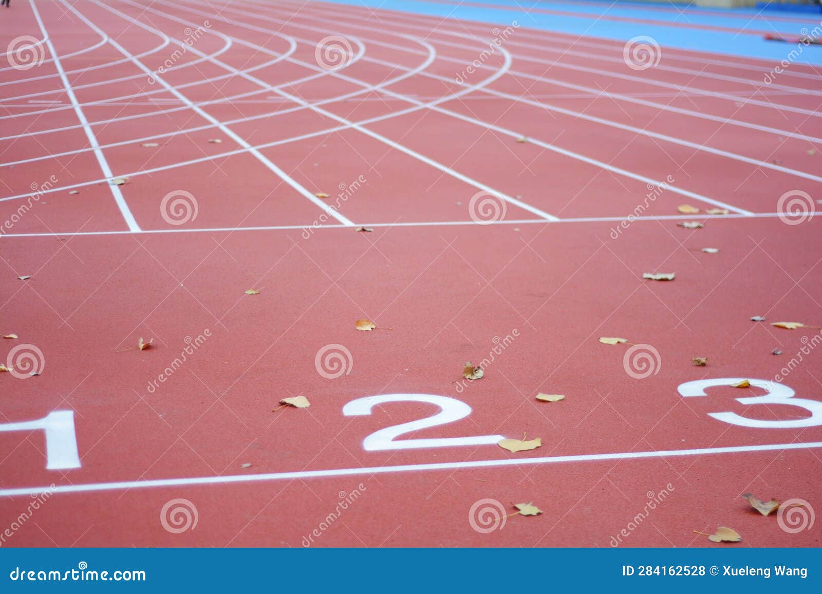 Red Race Track with in Campus. Stock Photo - Image of whon, forest ...